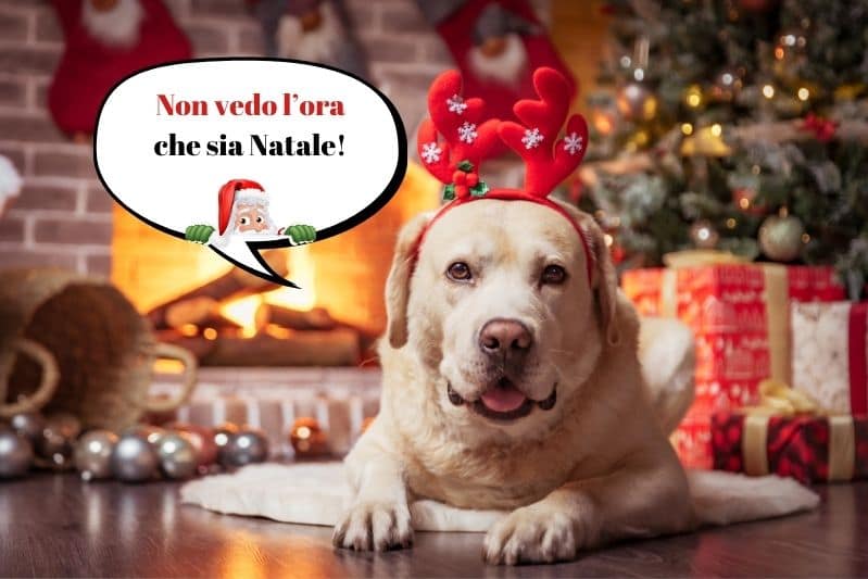 Learn Italian idioms: "Non vedo l'ora" - Study Italian in Italy ...
